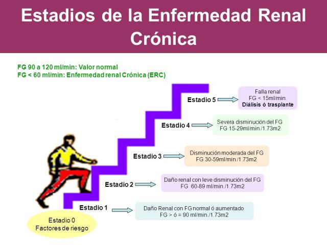 2018 – NEFROLOGIA: ¿Están bien tus RIÑONES?